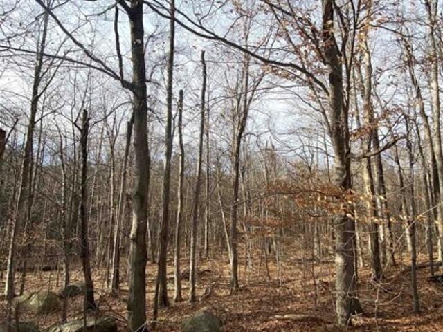 Fred Johnson Cir Lot,middlebury, Plot For Sale