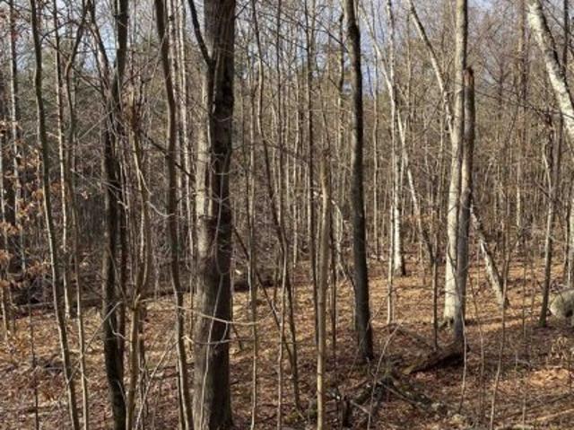 Fred Johnson Cir Lot,middlebury, Plot For Sale