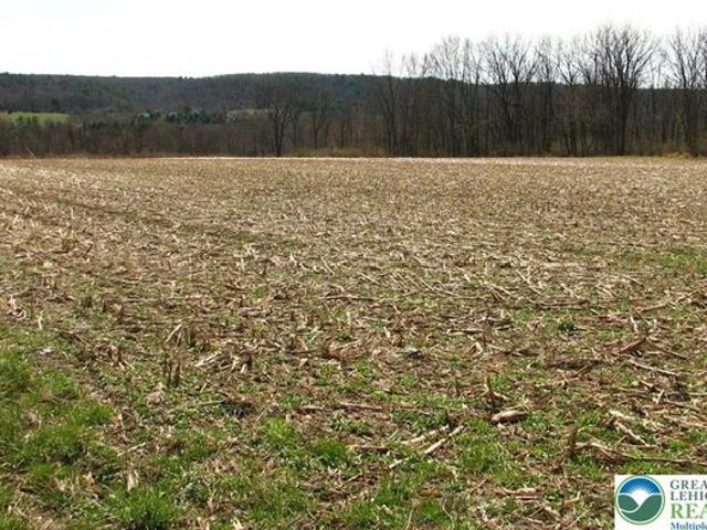Fredericks Grove Rd, Mahoning, PA 18235