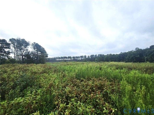 Fredericks Hall Rd, Mineral, VA 23117