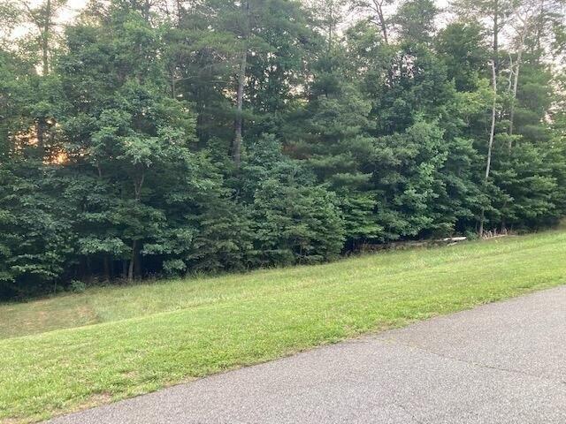 Freedom Ln Lot 28, Wirtz, VA 24184
