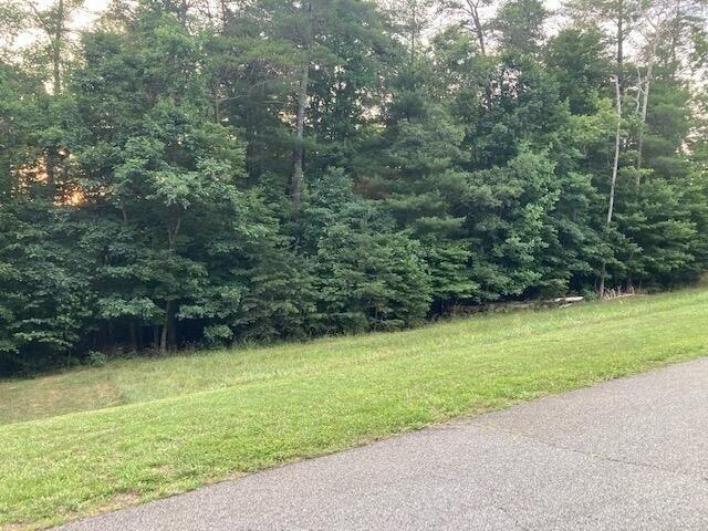 Freedom Ln Lot,wirtz, Plot For Sale