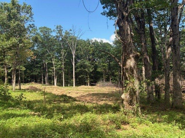 Freedom Rd, Winslow, AR 72959