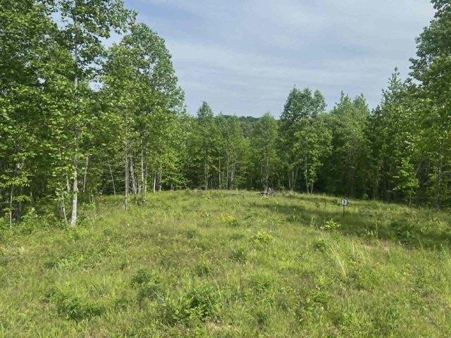 Freedom Rdg, Indian Mound, TN 37079