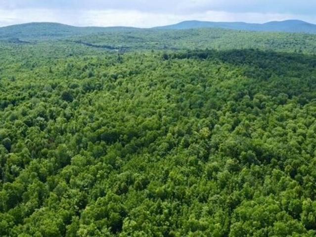 Freedom Way Ln Lot, Starks, Plot For Sale