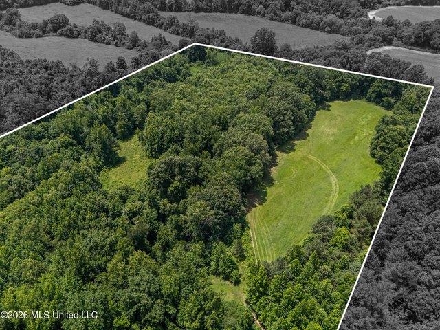 Freeman Dr, Coldwater, MS 38618