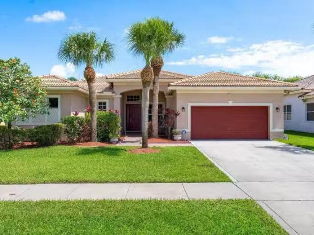 Freesian, LAKE WORTH, FL 33449