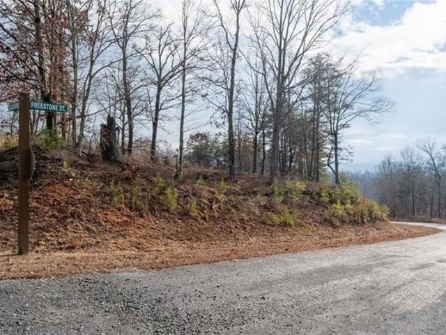 Freestone St, Talking Rock, GA 30175