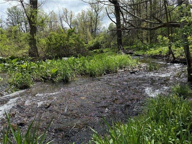 Freeville NY 13068 104906161