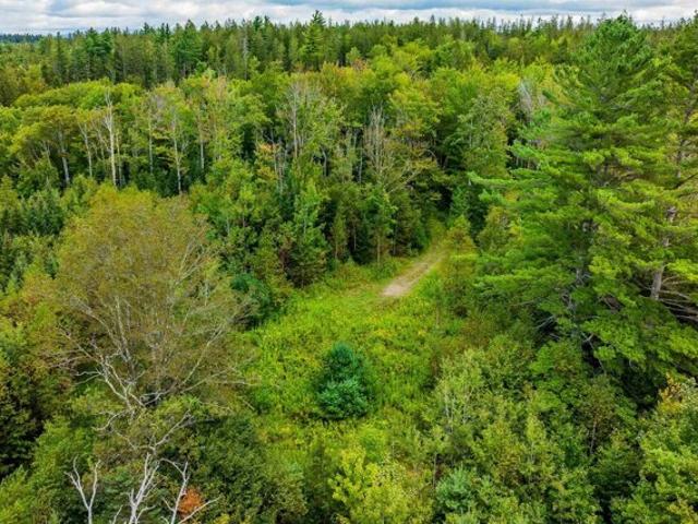 French Hollow Rd Lot,winhall, Plot For Sale
