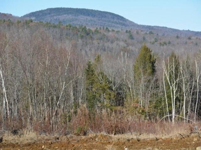 French Hill Rd Lot,albany Township, Plot For Sale