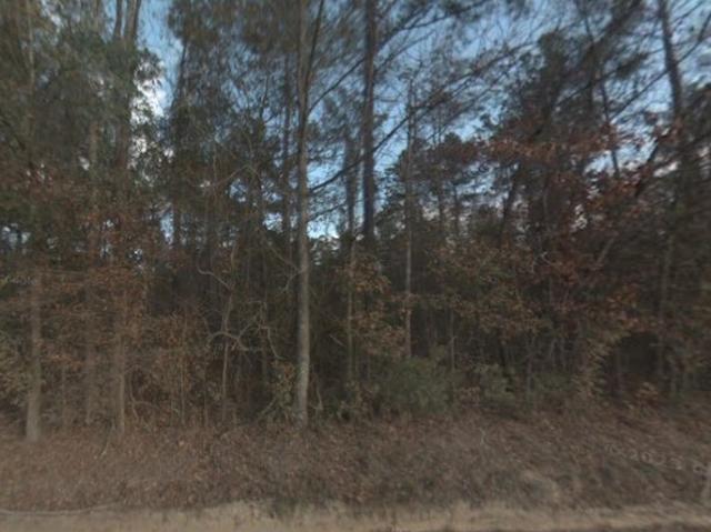 French Williams Rd, Sumter, SC 29153