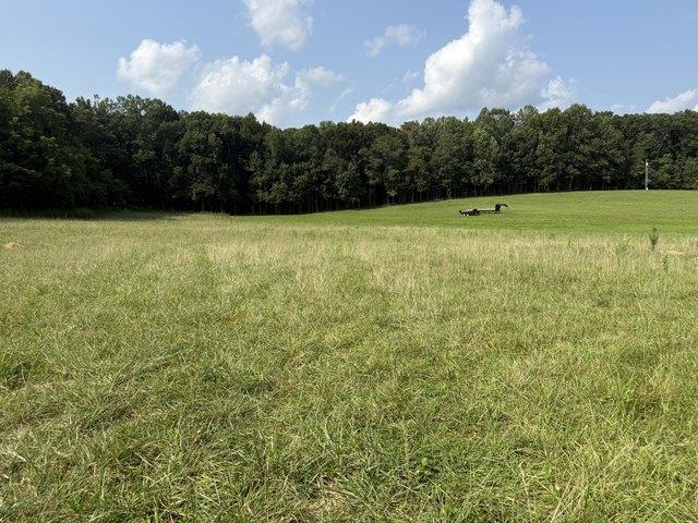 French Valley Tract 2 Ct Lot 5, Russell Springs, KY 42642