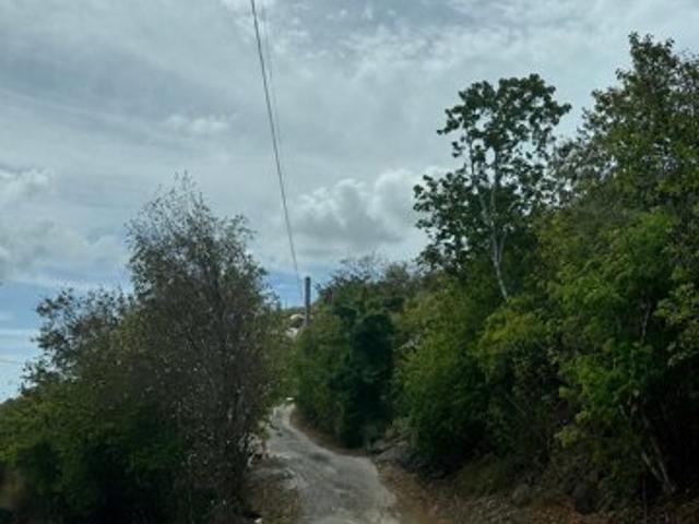 Frenchman Bay Fb, Saint Thomas, Plot For Sale