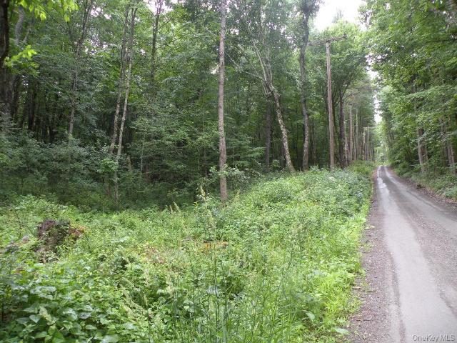 Frenchs Hill Rd