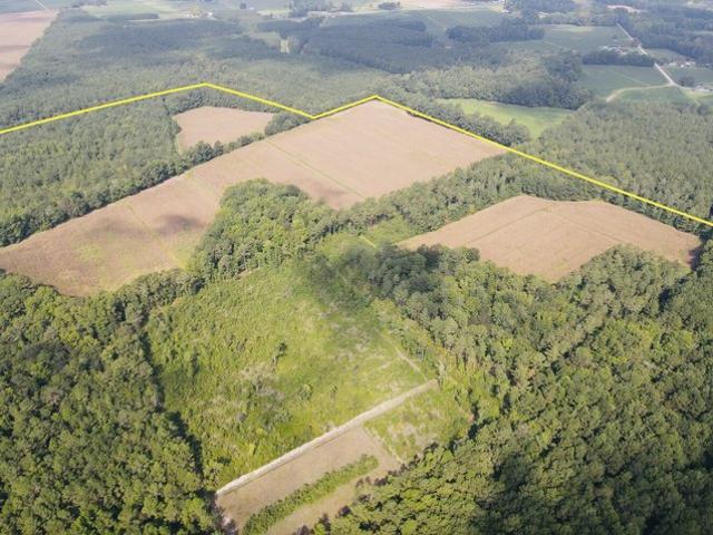 Fresh Branch Rd, Cerro Gordo, NC 28430