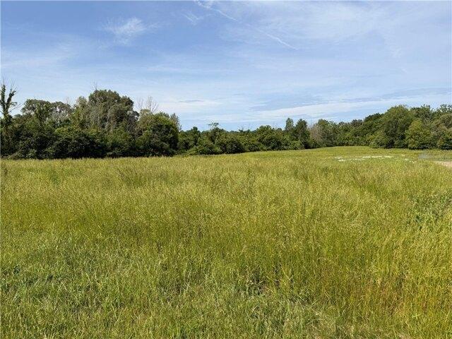 Freshour Rd Lot,canandaigua, Farm House For