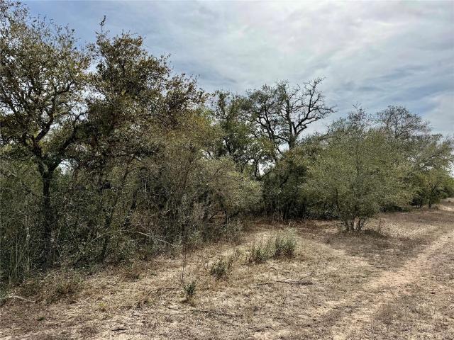 Friar Rd, Cuero, TX