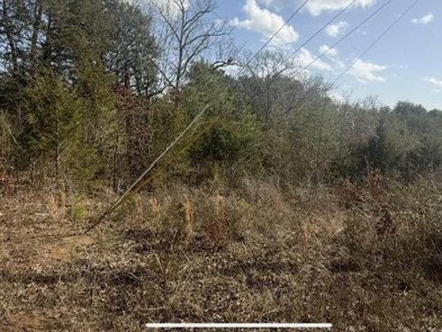 Friends Station 030 01 Rd Unit 44, New Market, TN 37820