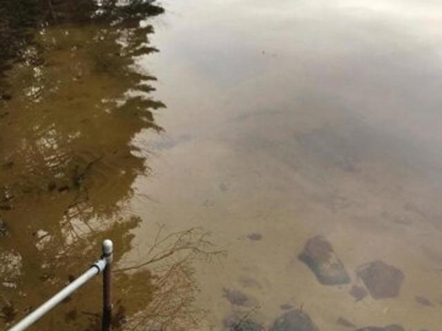 Friendship Acres Lot,bridgton, Plot For Sale