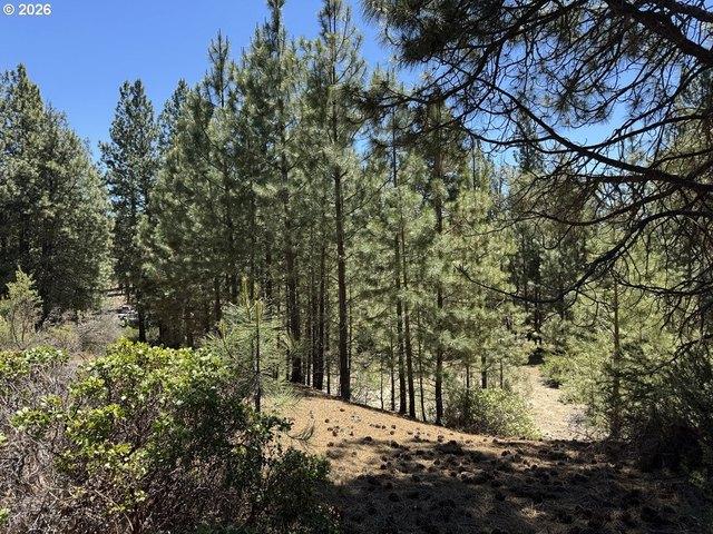 Friendship Dr Unit 12, Chiloquin, OR 97624
