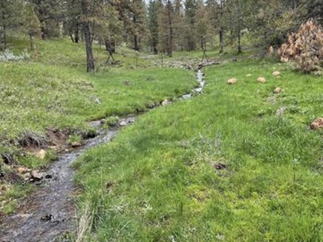 Fruitvale Glendale Rd, Council, ID 83612