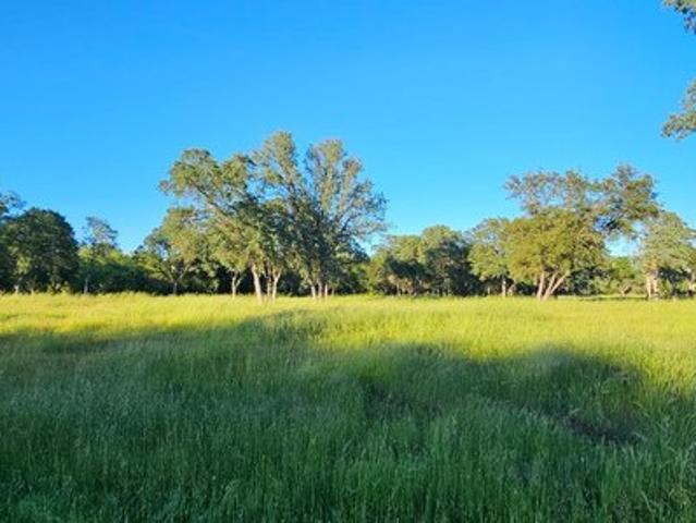 Fruitvale Rd, Lincoln, CA 95648