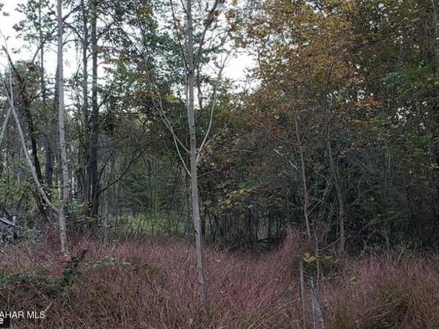 Frye Rd, Flinton, Plot For Sale