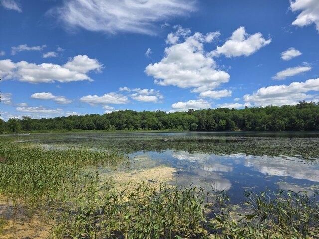 Frye Rd, Somerville, Plot For Sale