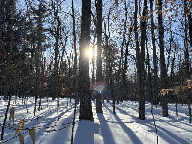 Fryeburg ME 04037 102063499