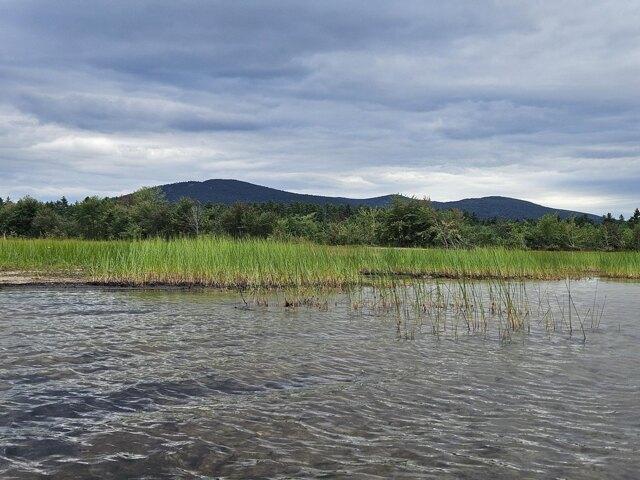 Fryeburg ME 04037 104540024