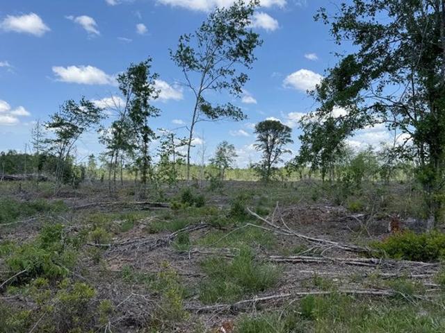 Fryer Rd, Colquitt, GA 39823