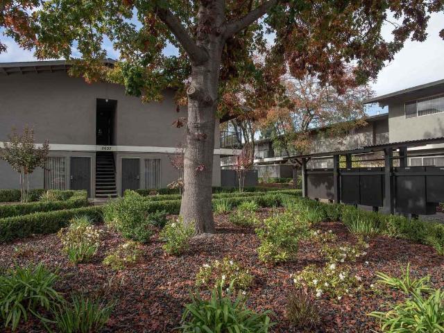 Fulton Oaks 2 Bedroom Apartment for Rent at 2633 Fulton Ave, Sacramento, CA 95821