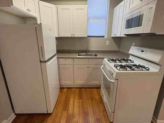 Fulton Pine 1 Bedroom Apartment for Rent at 238 N Pine Ave, Chicago, IL 60644 Austin