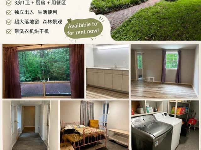 Full Basement Rental or Individual Rooms for Rent