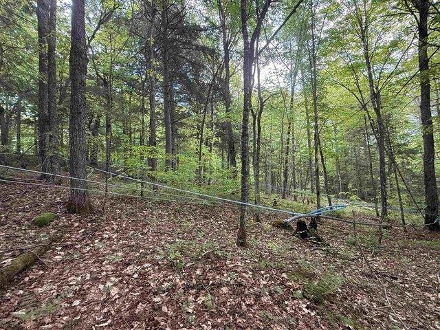 Fuller Rd, Newbury, VT 05051