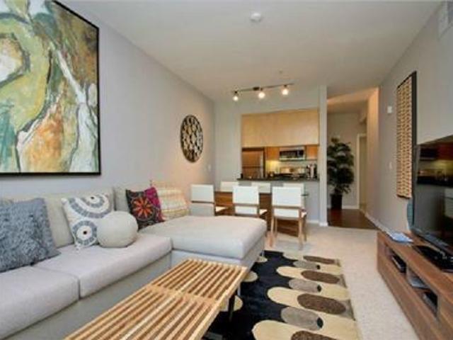 Fully Frnished One Bedroom Apt