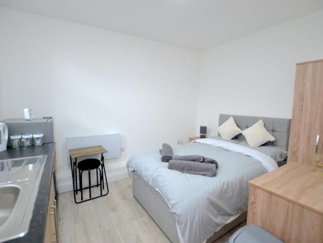 Fully Furnished Bedsit E1 for Student/Professional