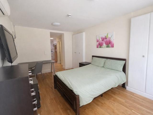 Fully Furnished One Bedroom and One Bathroom Flat