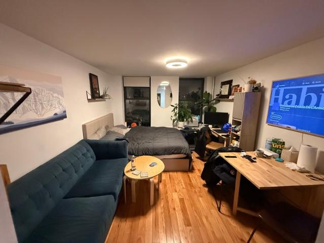 Fully Furnished LES Studio – Labor Day Wknd Sublet