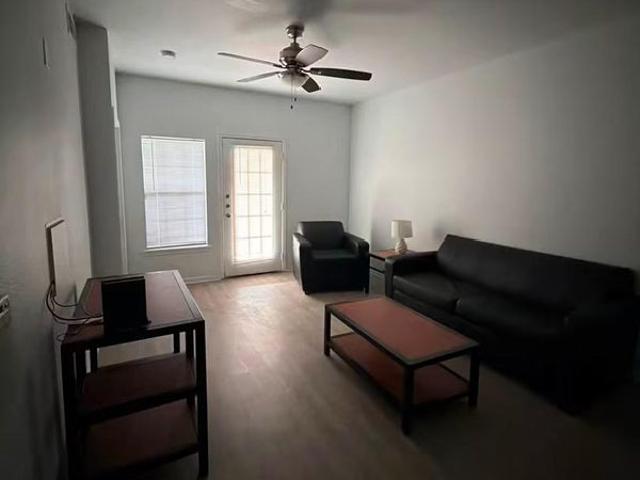 Fully Furnished San Marcos Apartment