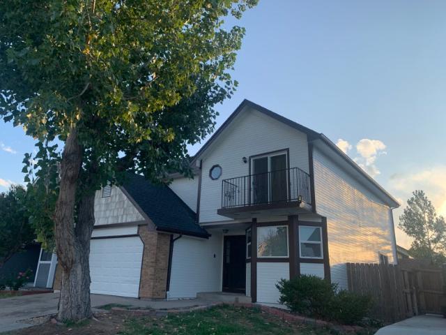 Fully Furnished, Private Basement Apartment