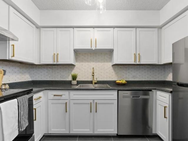Fully Remodeled Downtown Denver Condo with Incredi