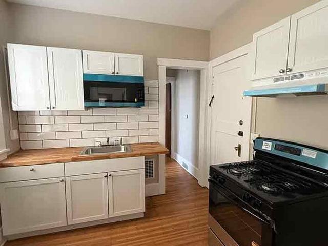 Fully Renovated 1 Bedroom Apartment in Rochester