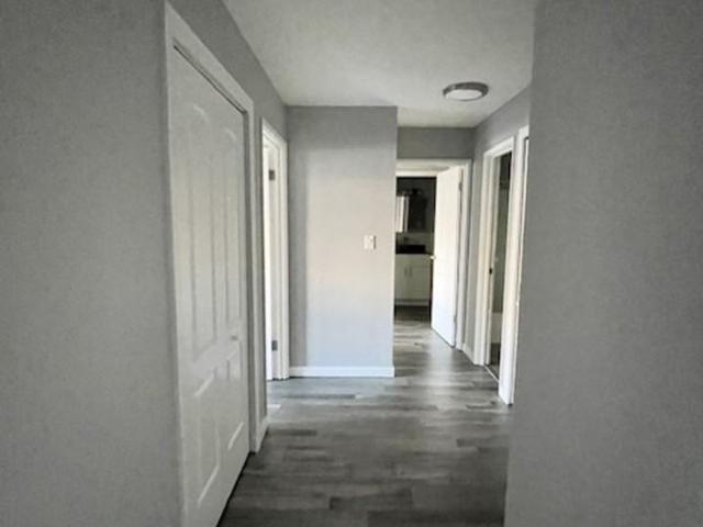 Fully Renovated Modern Apartments 3 Bedroom Apartment for Rent at 490 Sherwood Pl, Stratford, CT 06615