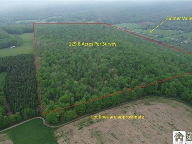 Fulmer Valley Rd, Wellsville, NY 14895