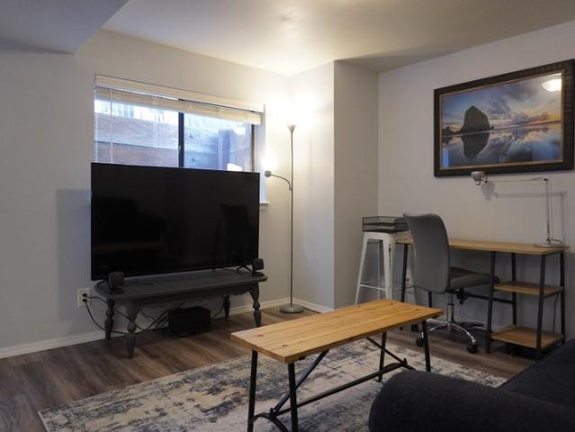 Furnished Basement Studio Apartment_Approx. 500 Sq
