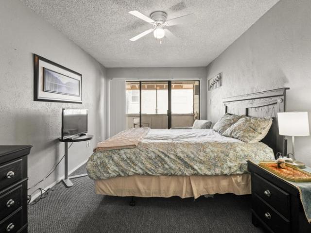 Furnished Bedroom, Private Bath, All Bills Paid