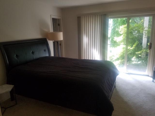 Furnished downstairs master BR wprivate bath