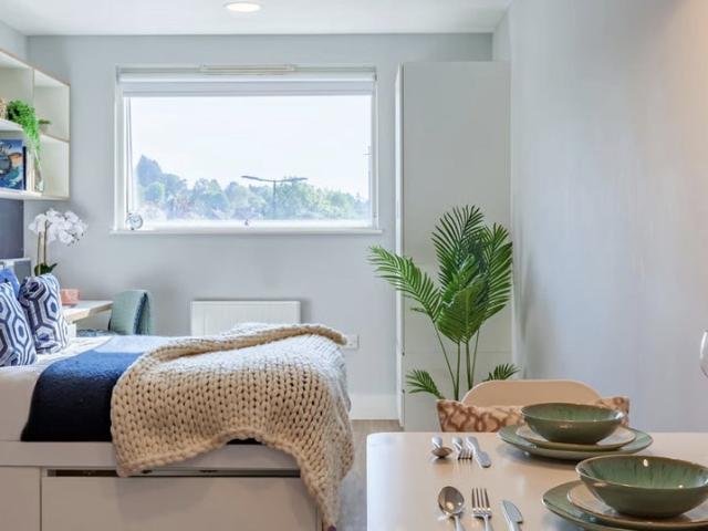Furnished Ensuite Studio – Official Takeover